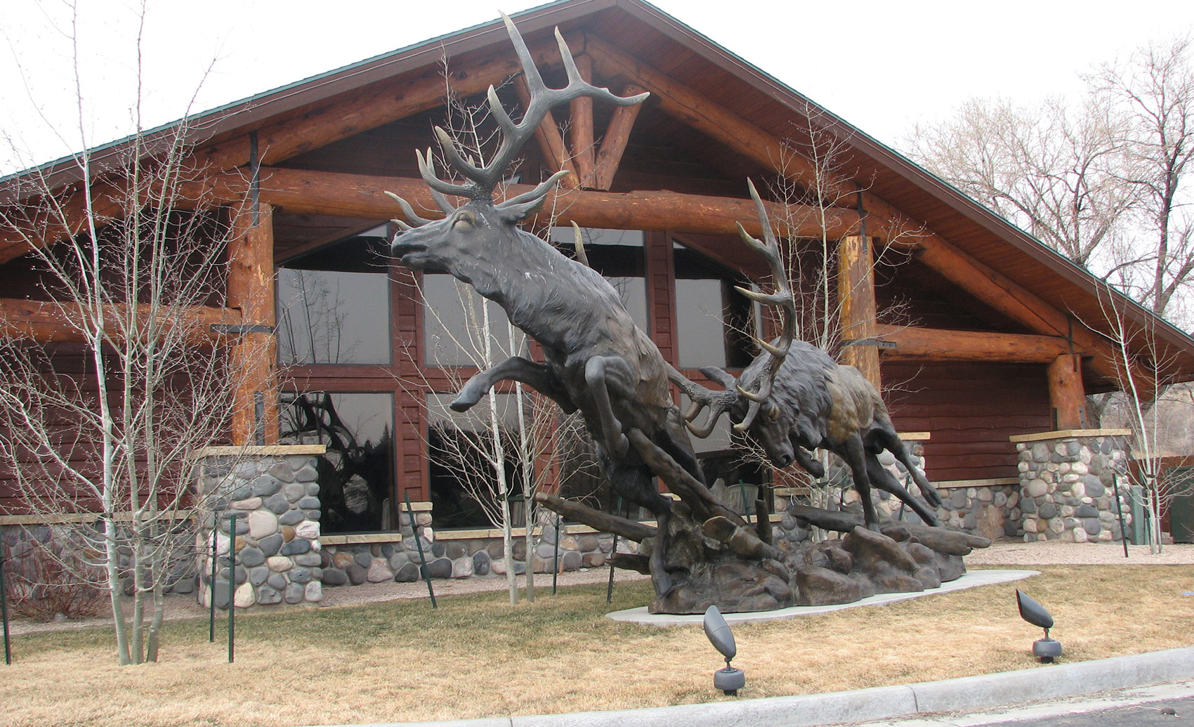 AmericInn by Wyndham Cody | Cody, WY Hotels