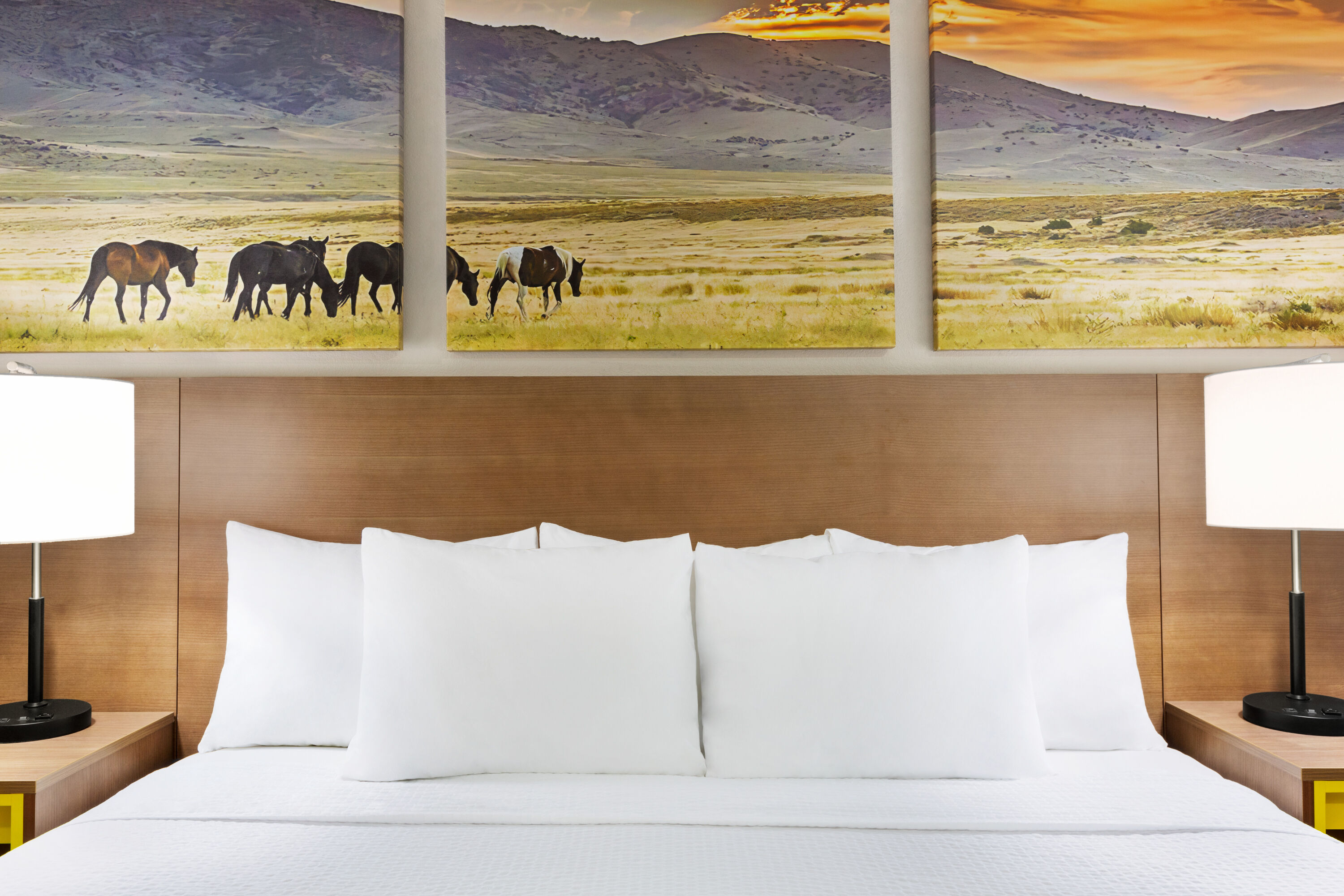 Days Inn by Wyndham Ruidoso Downs | Ruidoso Downs, NM Hotels