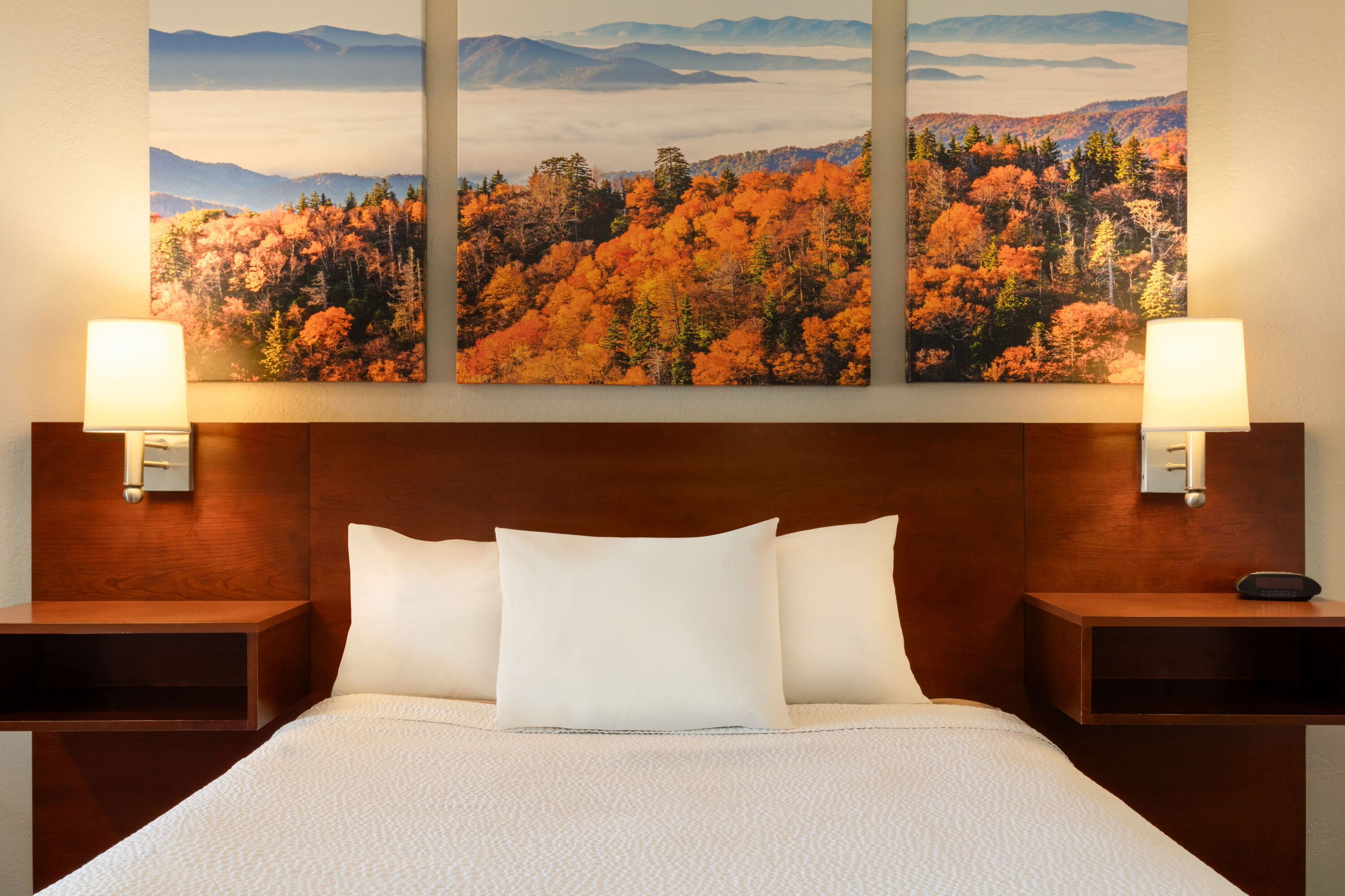 Days Inn by Wyndham Dillon | Dillon, SC Hotels
