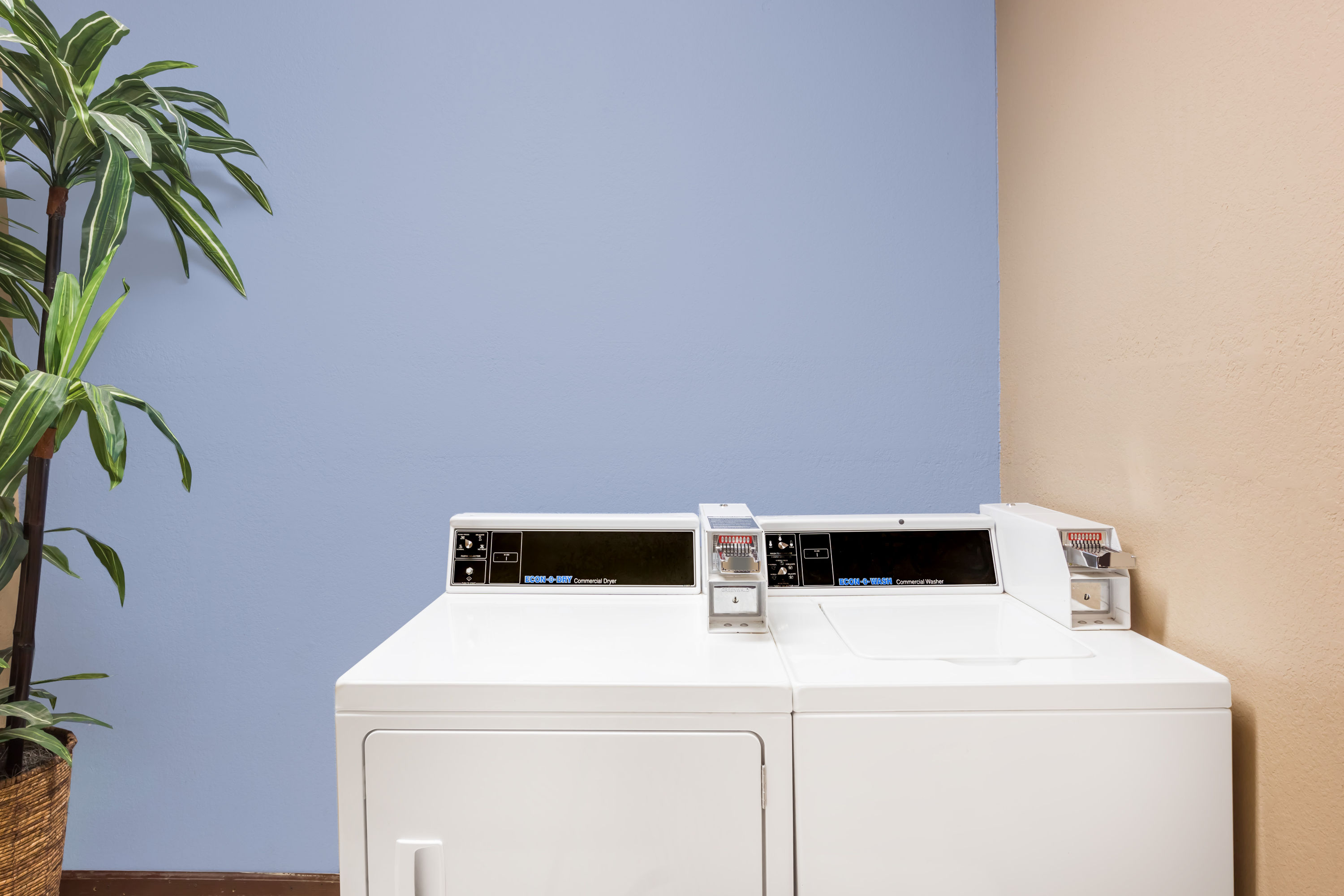 Super 8 by Wyndham Jonesboro | Jonesboro, AR Hotels